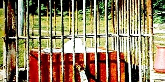 UREĐENJE IZVORIŠTA MINERALNE VODE ŽEPAČKI KISELJAK – Općina Žepče